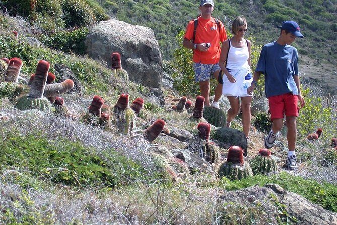 Guana Bay Coastal Hike - An In-Depth Look at the Guana Bay Coastal Hike