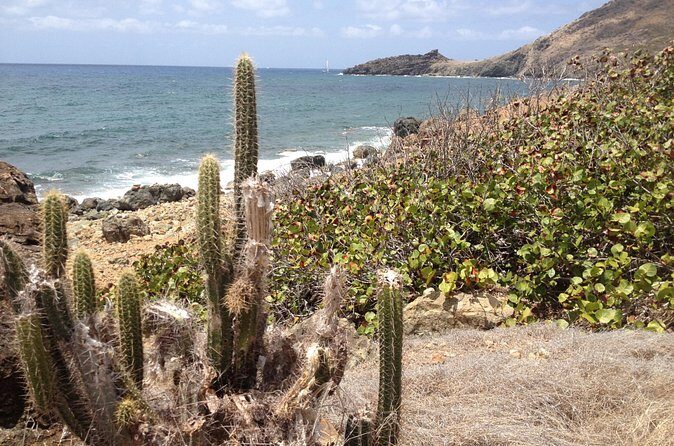Guana Bay Coastal Hike - Frequently Asked Questions