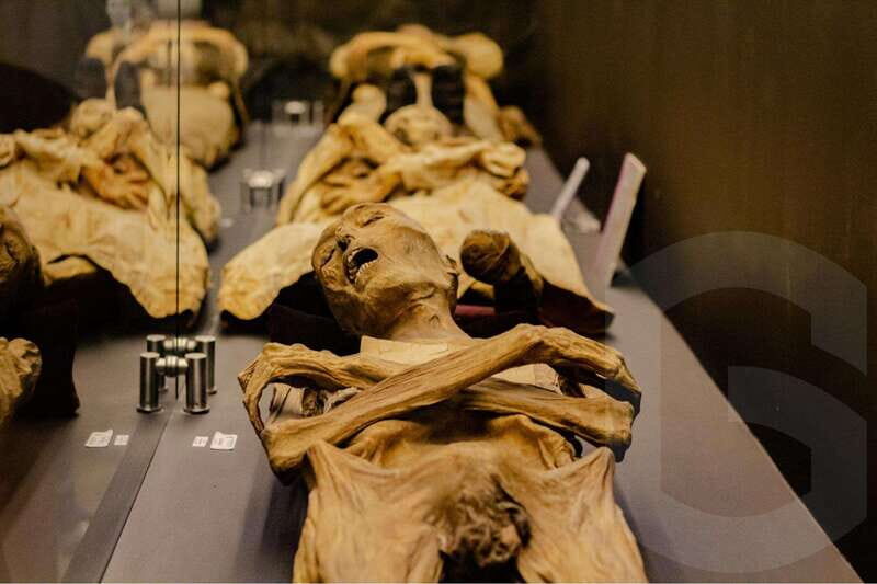 Guanajuato: Mummies, Mines and Tunnels Guided Group Tour - Who Should Consider This Tour?