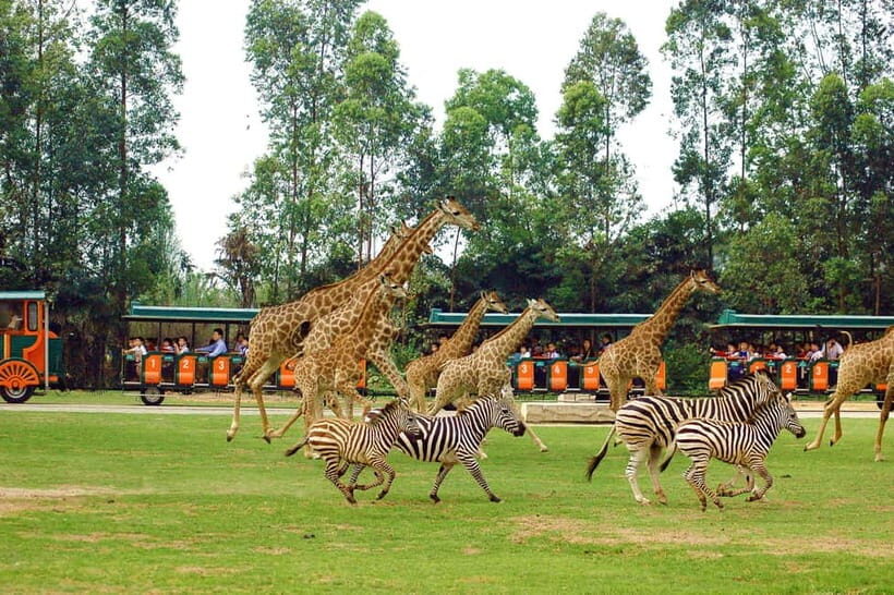Guangzhou: Adventure, Culture & Cuisine 5-Day Trip - Key Points
