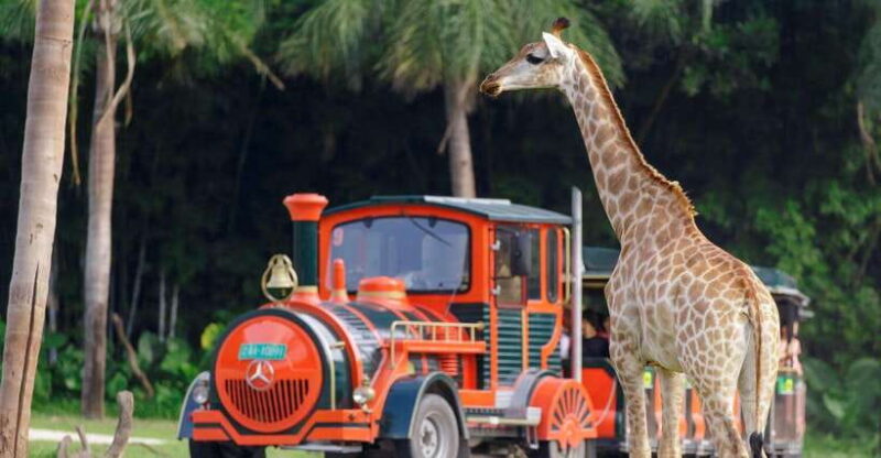 Guangzhou Chimelong Safari Park Ticket - Who Will Enjoy This Safari Park?