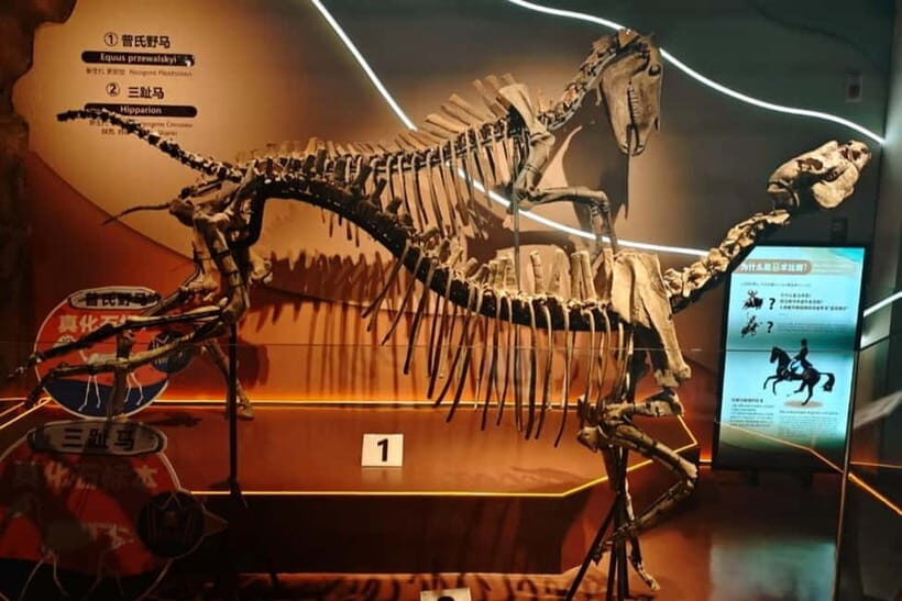Guangzhou: Grandview Museum of Nature Science Ticket - Location and Accessibility