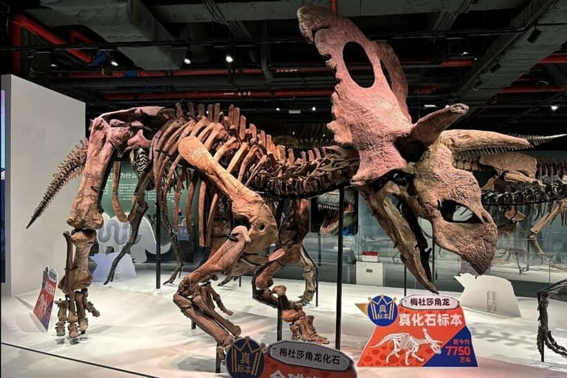 Guangzhou: Grandview Museum of Nature Science Ticket - What to Expect Inside