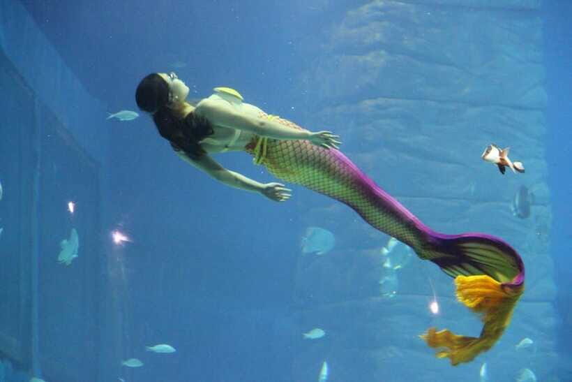 Guangzhou: Grandview Museum of Nature Science Ticket - Visiting Tips