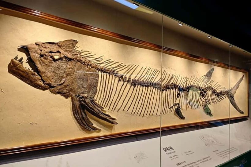 Guangzhou: Grandview Museum of Nature Science Ticket - Value and Practical Considerations