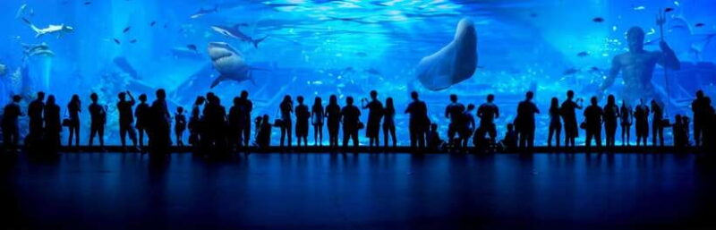 Guangzhou: Grandview Plaza Polar Ocean World Entry Ticket - Key Points