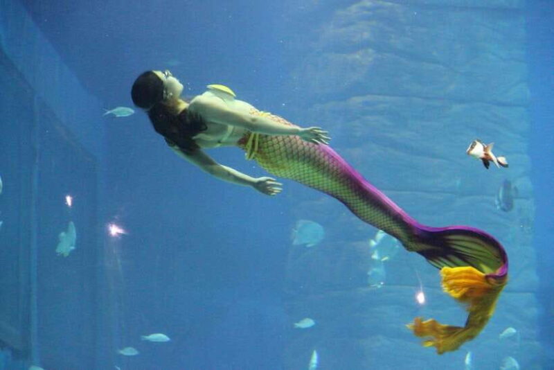 Guangzhou: Grandview Plaza Polar Ocean World Entry Ticket - The Practicalities: What’s Included and What’s Not