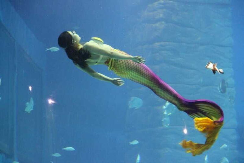 Guangzhou: Grandview Plaza Polar Ocean World Entry Ticket - The Experience in Context: How It Compares