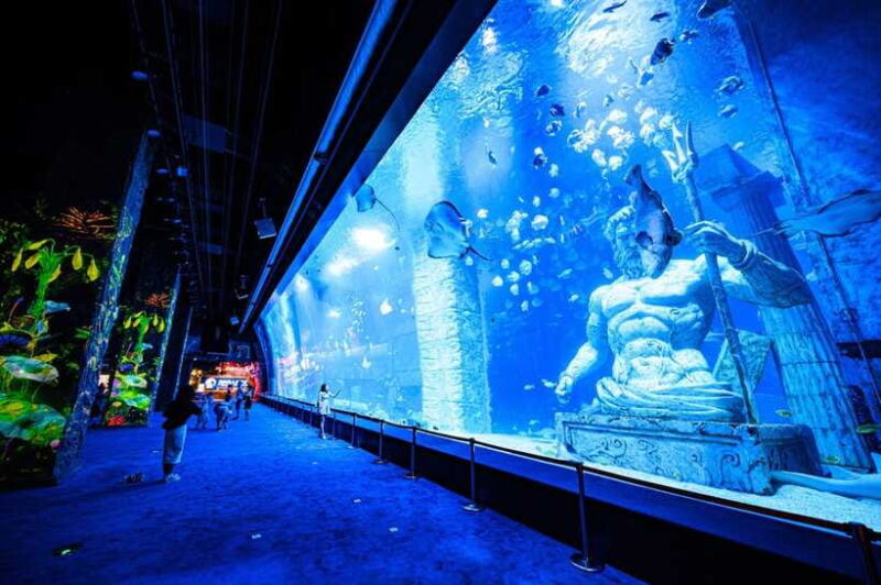 Guangzhou: Grandview Plaza Polar Ocean World Entry Ticket - Final Thoughts: Who Will Love This Tour?