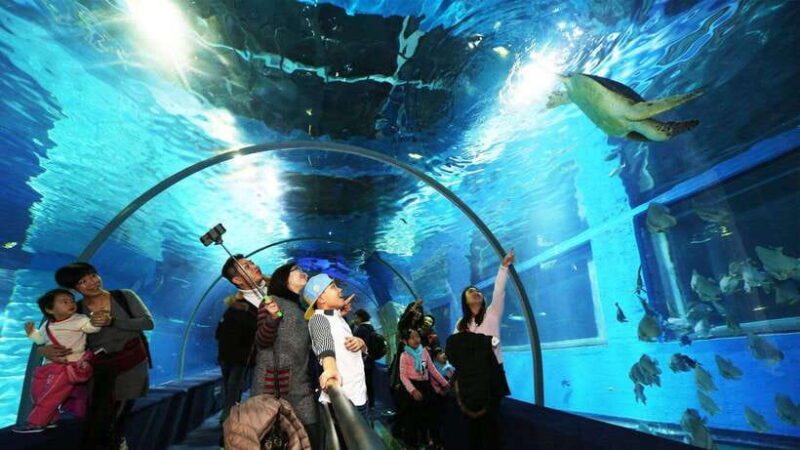 Guangzhou: Grandview Plaza Polar Ocean World Entry Ticket - Frequently Asked Questions