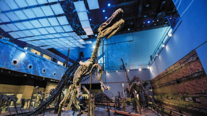 Guangzhou: Guangdong Museum Admission - Key Points