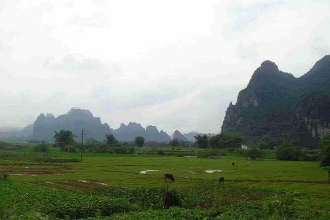 Guangzhou to Yingxi Corridor and Cave Fairland Private Day Tour - A Closer Look at the Tour Experience