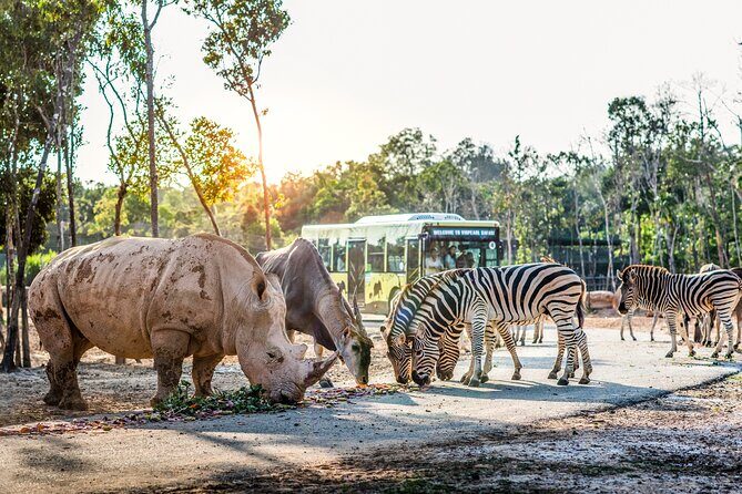 Guaranteed Departures: Vinpearl Safari & Countryside Pepper Farm - An In-Depth Review of the Tour Experience