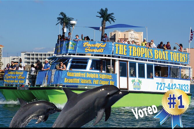 Guaranteed Dolphin Sighting Tour on Tropics Boat Tours - Tips for an Enjoyable Experience