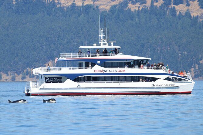 Guaranteed Whale Watch Tour from Anacortes - The Itinerary: What You Can Expect Onboard