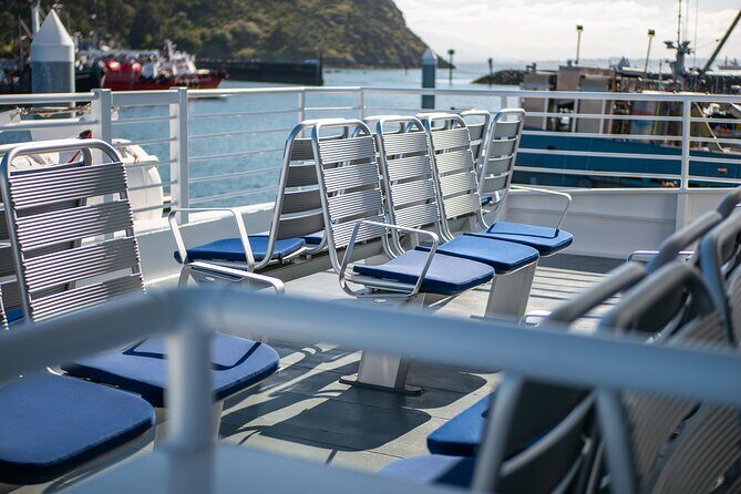Guaranteed Whale Watch Tour from Anacortes - Pricing and Value: Is It Worth It?