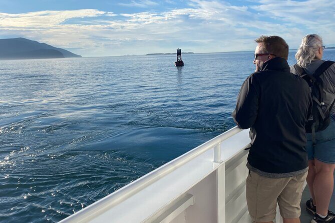 Guaranteed Whale Watch Tour from Anacortes - The Experience: Authenticity and Engagement