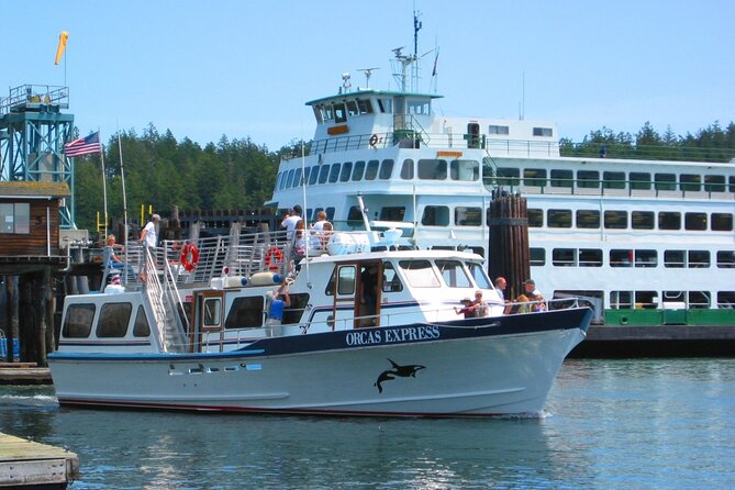 Guaranteed Whale Watching Tour - Who Will Love This Tour?