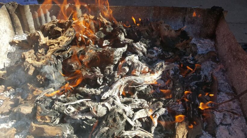 Guardiola de Font-Rubí: Winery & Grill Menu Tour - An In-Depth Look at the Tour Experience