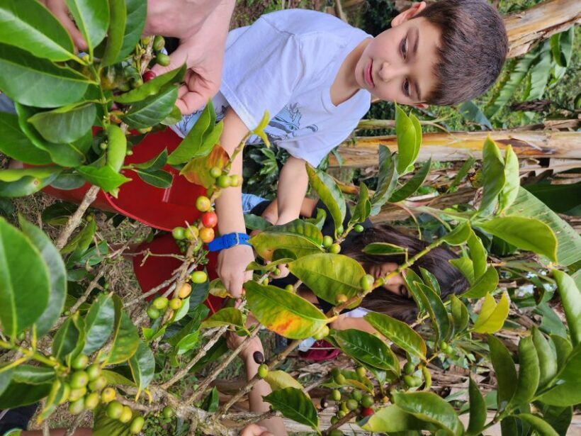 Guatape Coffee Villa including Rock Town & Waterfall - Itinerary Breakdown