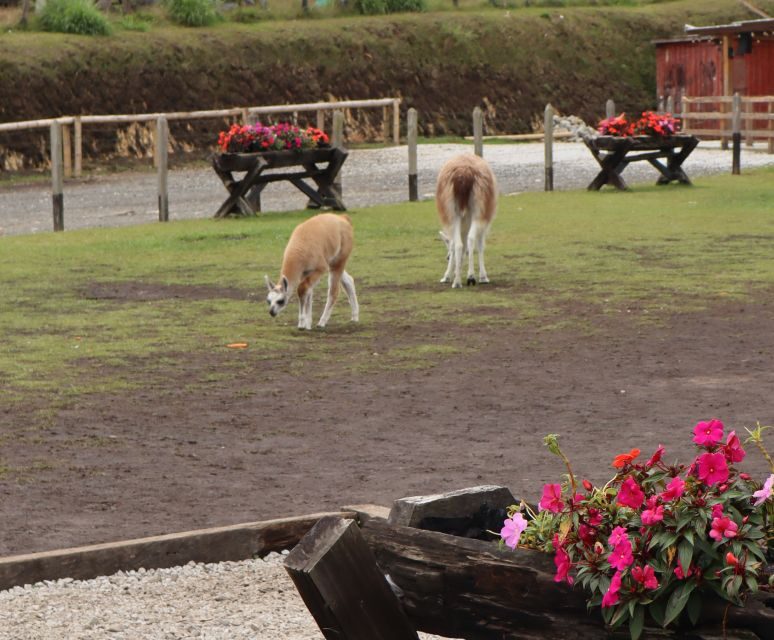 Guatapé Tour: All Inclusive Weekend - Who This Tour Is Best For