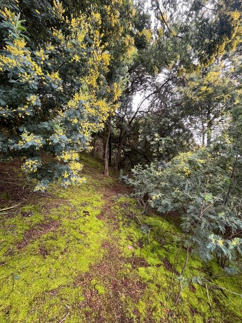 Guatavita: Tour to Guatavita Lagoon, the Village and Casa Loca - The Sum Up