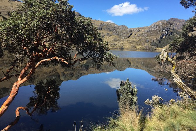 Guayaquil to Cuenca One-Way Tour With Cajas Park and a Cacao Farm Visit - Cacao Farm Visit