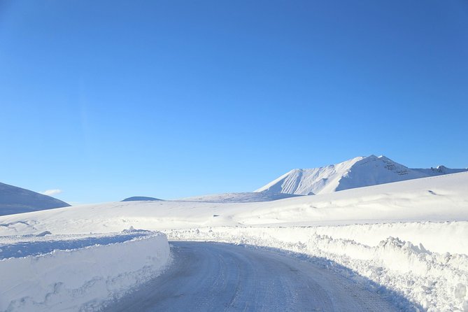 Gudauri Ski Resort day tour from Tbilisi - Frequently Asked Questions