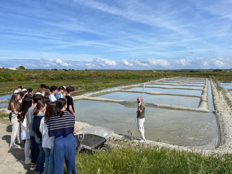 Guérande Salt Marshes Tour - Experience Highlights