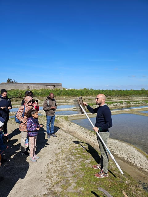 Guérande Salt Marshes Tour - The Process of Salt Harvesting