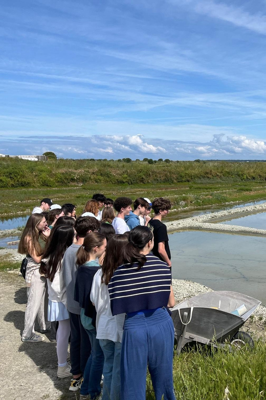 Guérande Salt Marshes Tour - Ecological Significance of the Marshes