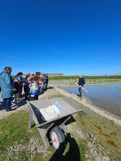 Guérande Salt Marshes Tour - Customer Testimonials