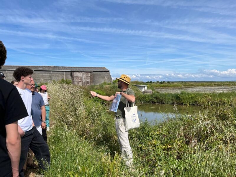 Guérande Salt Marshes Tour - Since You Asked