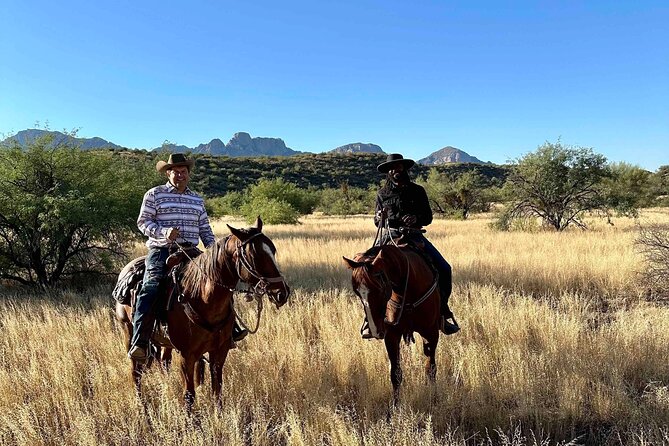 Guided 2 Hour Horseback Ride Catalina State Park Coronado Forest - The Perfect Match: Horses for Every Rider