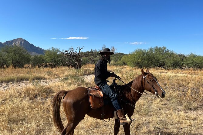 Guided 2 Hour Horseback Ride Catalina State Park Coronado Forest - Health and Safety Considerations