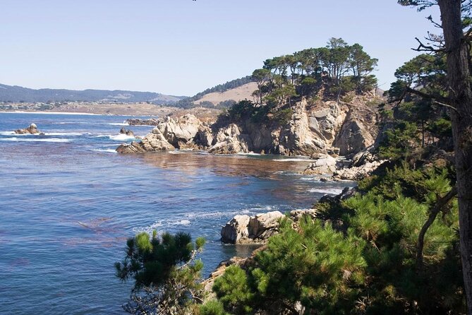 Guided 2-Hour Point Lobos Nature Walk - A Close Look at the Guided Point Lobos Nature Walk