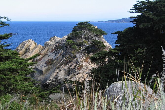 Guided 2-Hour Point Lobos Nature Walk - Who Should Book This Tour?