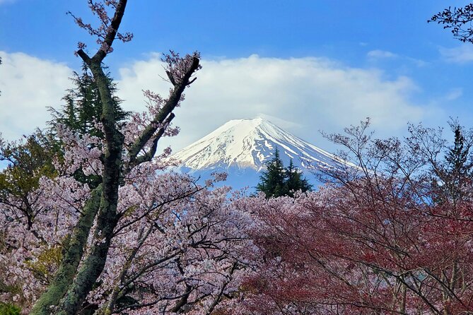 Guided 3 Days Tour Tokyo, Mt. Fuji and Hakone GREEN NUMBER PLATE - Pickup Information