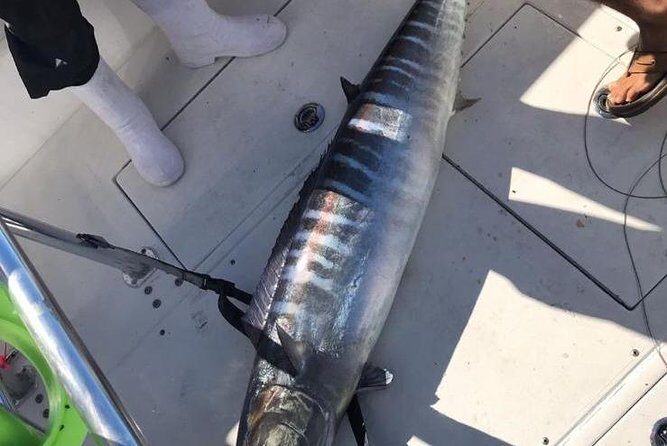 Guided 8 HR Full Day Fishing / Snorkel Private Charter Trip 40' Mega Bite - Who Should Consider This Tour?