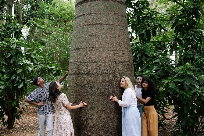 Guided Aboriginal Cultural Tour of Adelaide Botanic Garden - Key Points