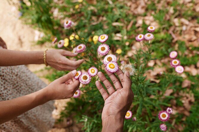 Guided Aboriginal Cultural Tour of Adelaide Botanic Garden - Who Will Love This Tour?