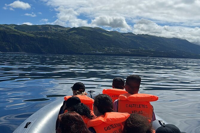 Guided activity in the Heart of Azores with whales and dolphins - Is This Tour Worth the Price?