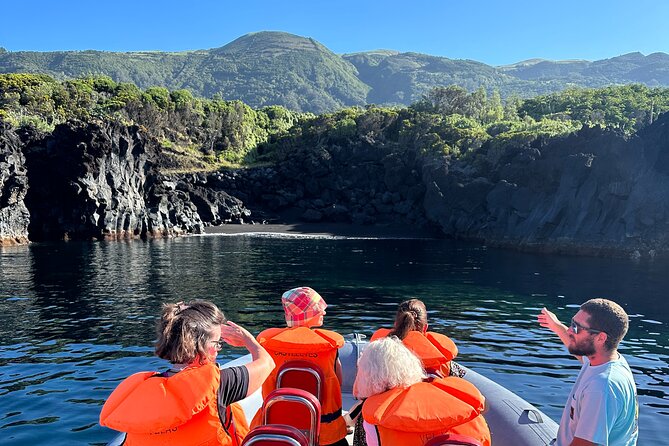 Guided activity in the Heart of Azores with whales and dolphins - Who Is This Tour Best For?