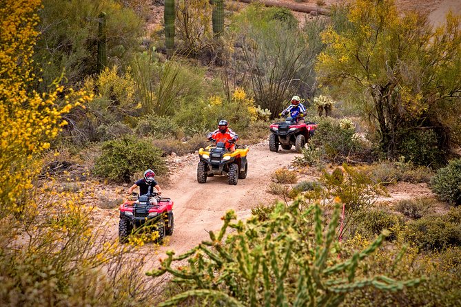 Guided Arizona Desert Tour by ATV - Centipede Tour - Introduction