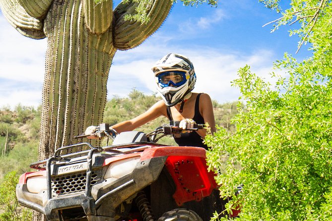 Guided Arizona Desert Tour by ATV - Centipede Tour - Authentic Feedback