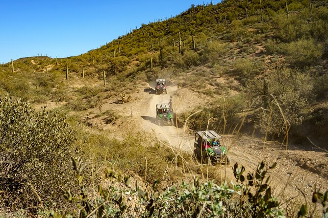 Guided Arizona Desert Tour by UTV - Centipede Tour - Who Is This Tour Best For?
