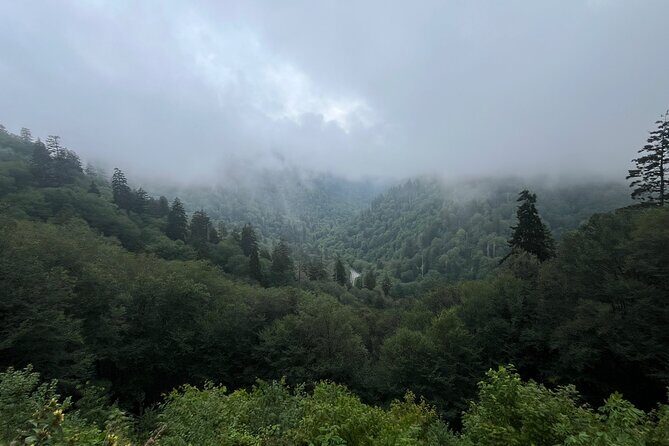 Guided Art Adventure Hikes in Great Smoky Mountains Natl Park - Key Points