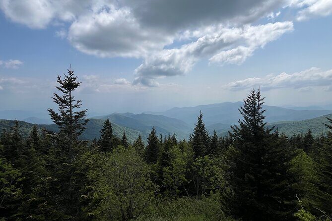 Guided Art Adventure Hikes in Great Smoky Mountains Natl Park - Who Will Love This Tour?
