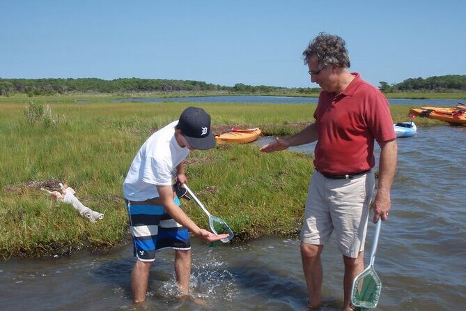 Guided Assateague Kayaking and Wildlife Discovery Tour - The Sum Up: Who Will Love This Tour?