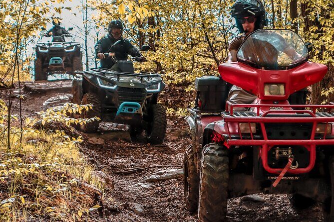 Guided ATV Adventure Tours in Kaladar - What You Can Expect During the Ride